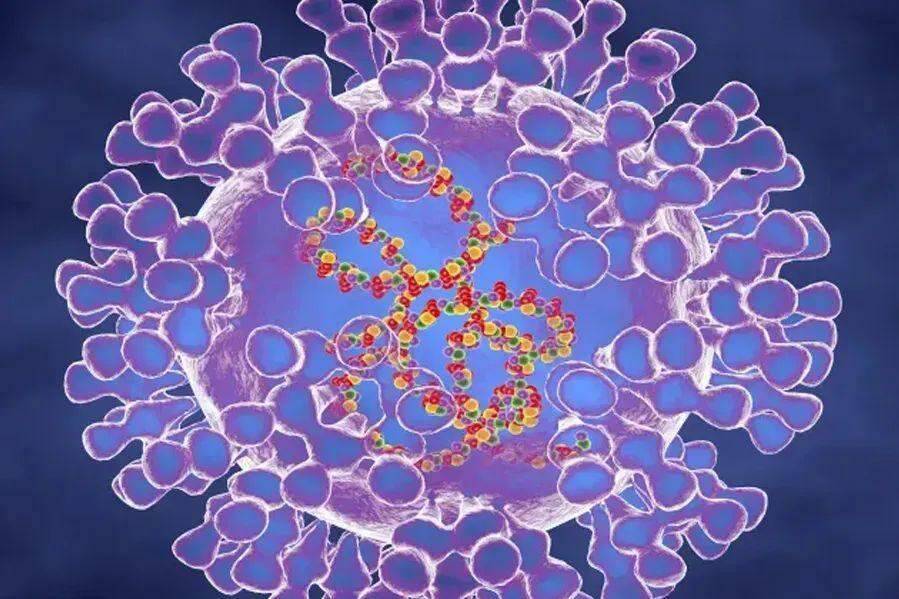 Varíola dos macacos: Rio de Janeiro confirma 1º caso e São Paulo ...