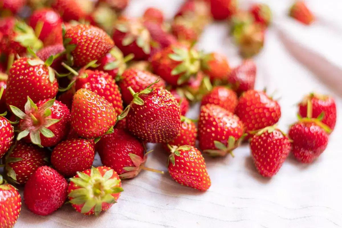 Festa do Morango, em Praia Grande, termina neste domingo