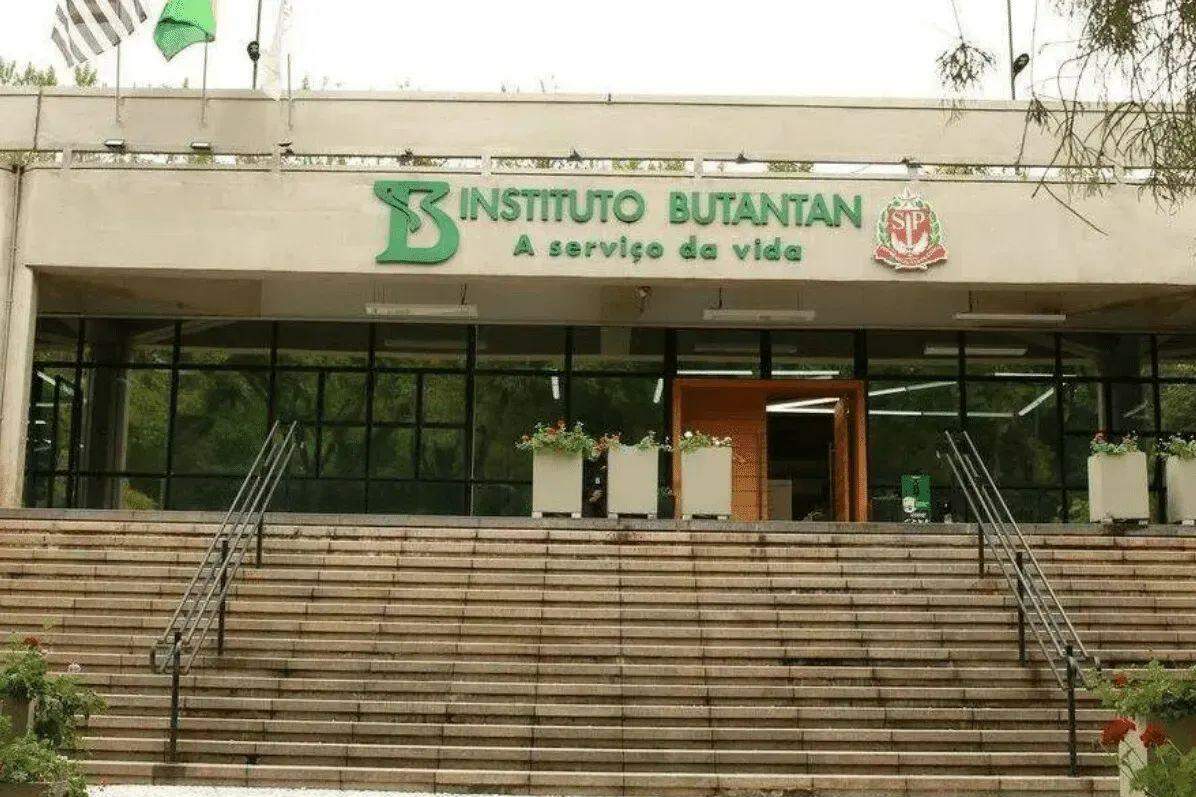 Anvisa e Butantan avaliam desenvolvimento de vacina trivalente contra ...