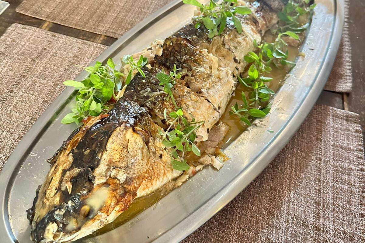 Tainha: confira sugestão para preparar o peixe mais famoso de julho e ...