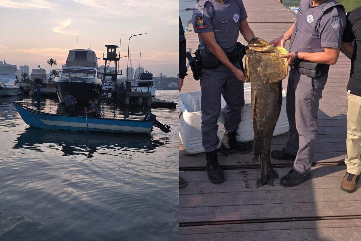 Pescador é multado pela PM em São Vicente por capturar peixe que sofre ...